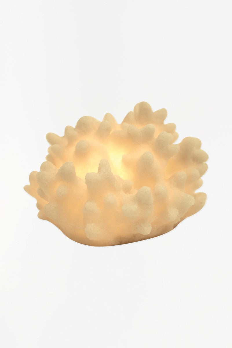 Sea Life Night Light Collection – The Islander FMB